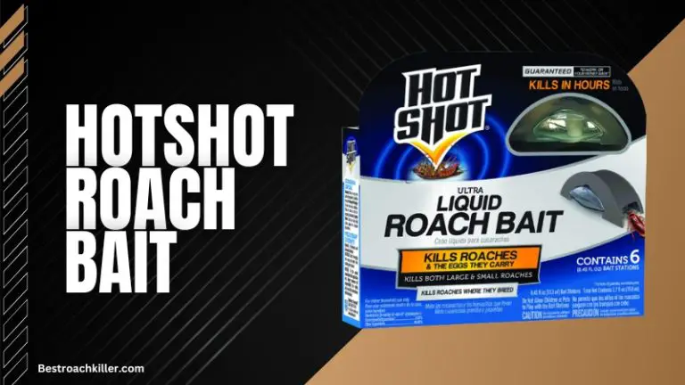 Hot Shot Roach Bait Review - Expert Perspective